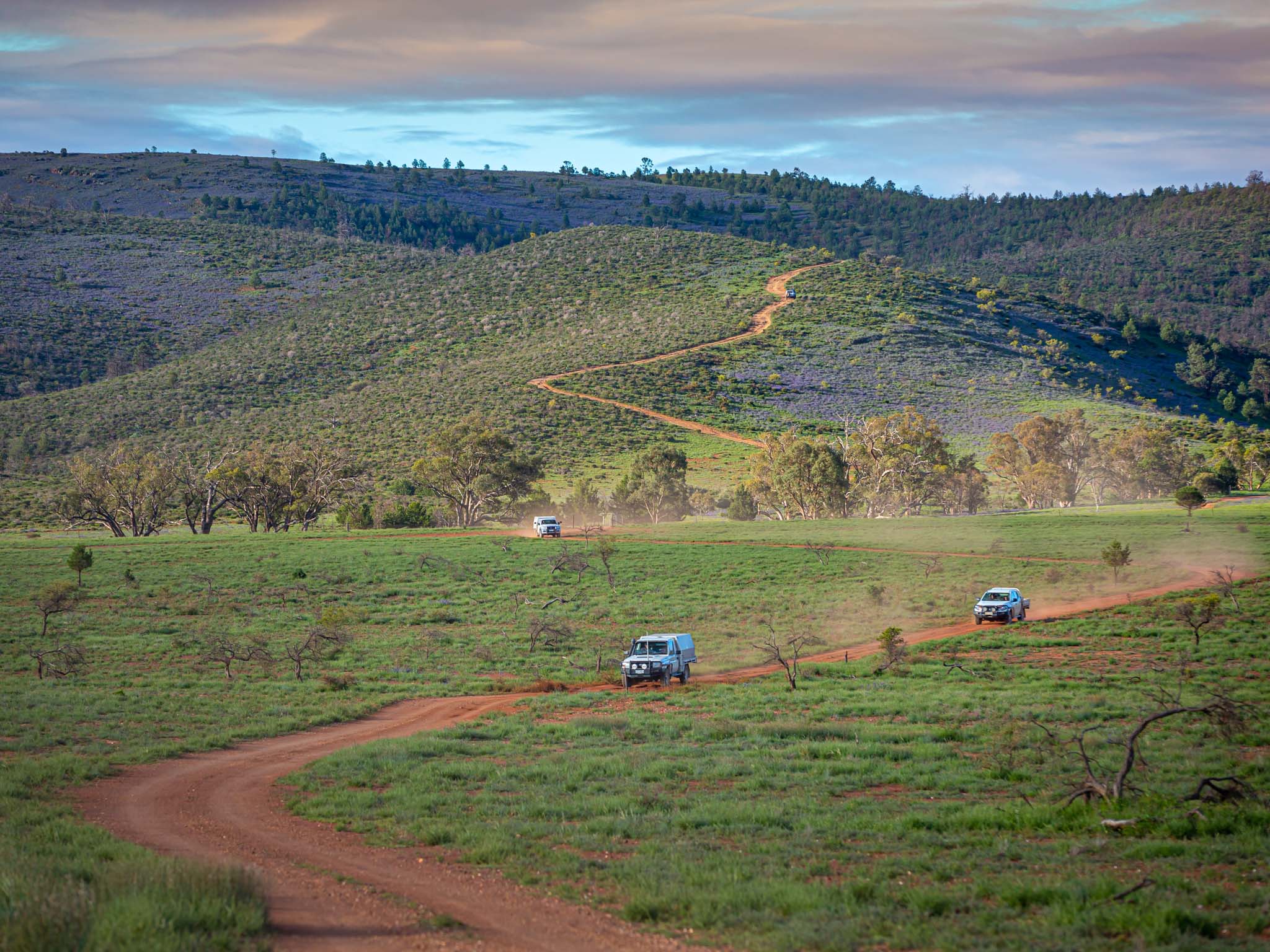 Bendleby Ranges | Station Stays SA