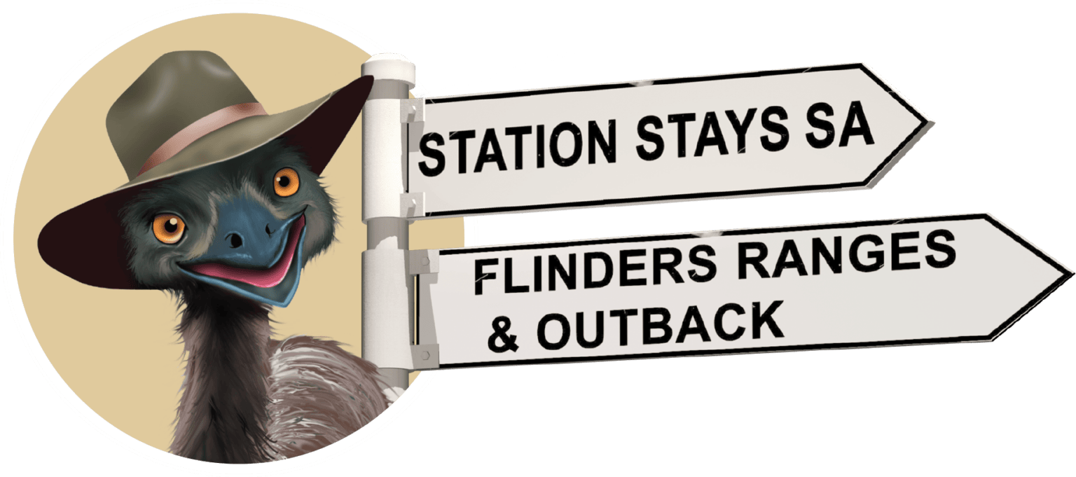 Mount Little Station | Station Stays SA