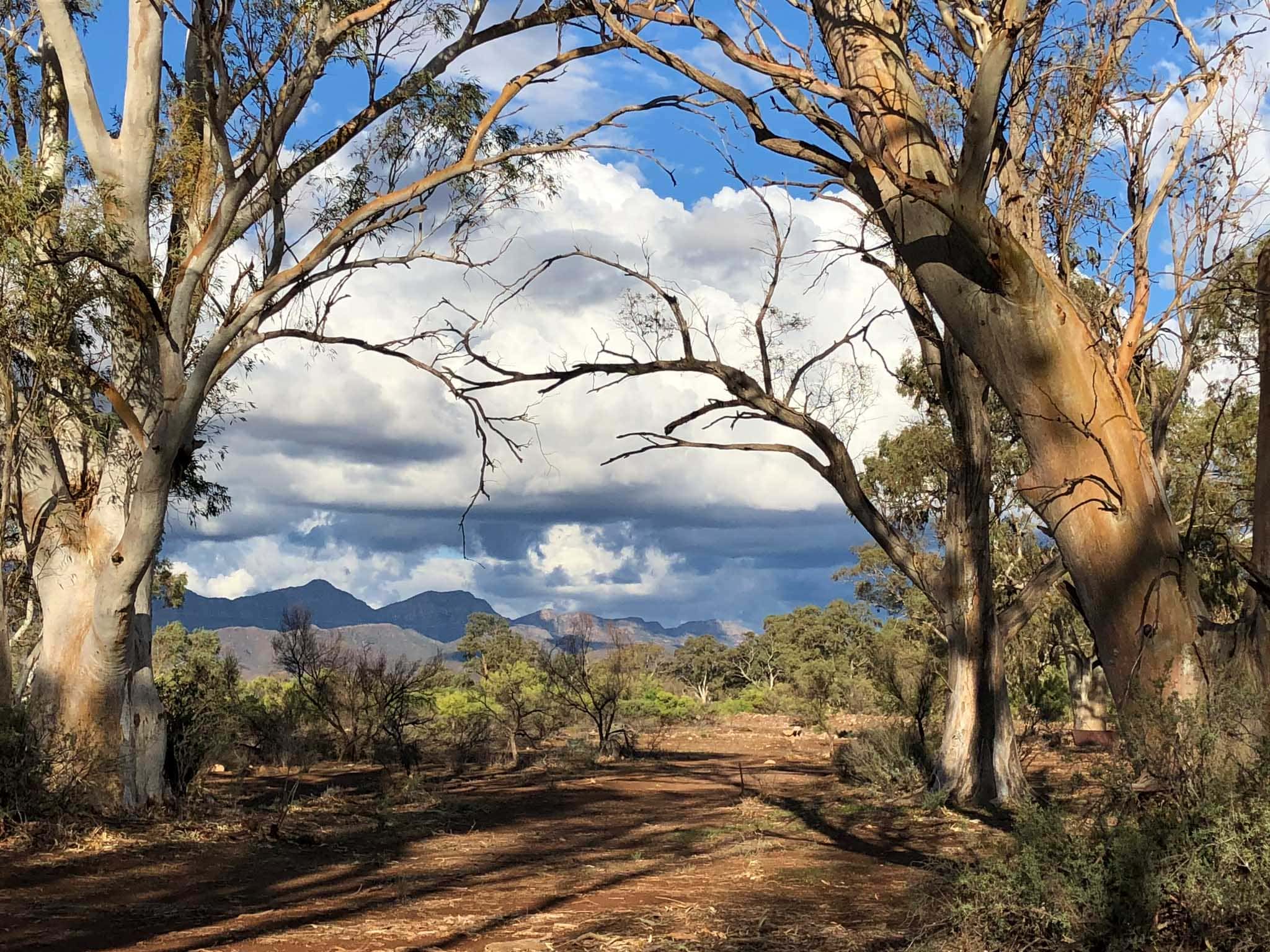 Merna Mora Station | Station Stays SA