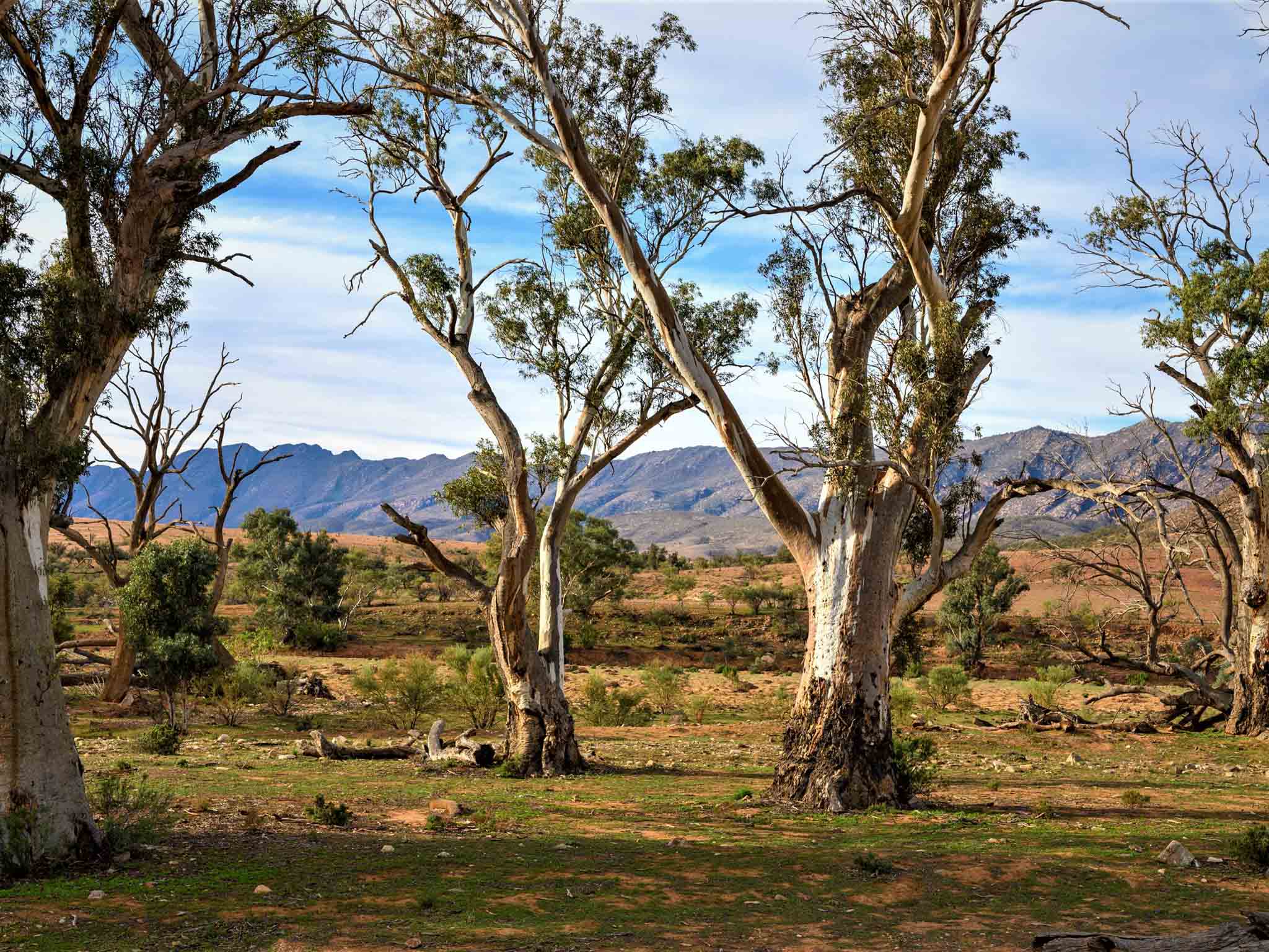 Mount Little Station | Station Stays SA