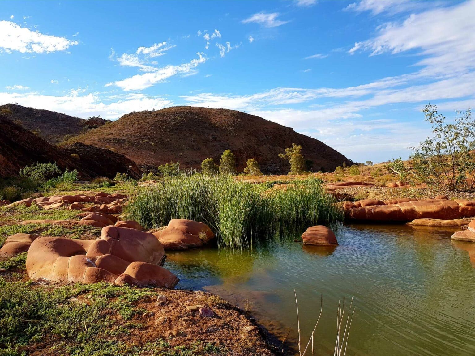 Mount Little Station | Station Stays SA