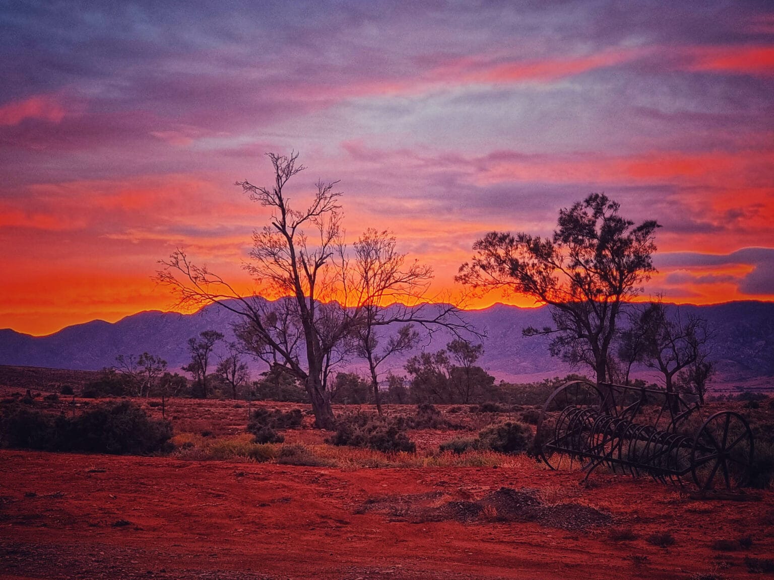 Mount Little Station | Station Stays SA