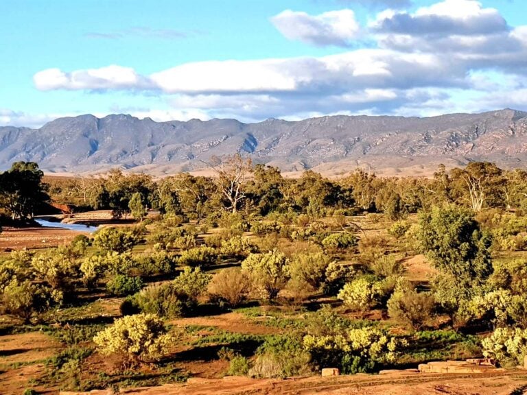 Mount Little Station | Station Stays SA