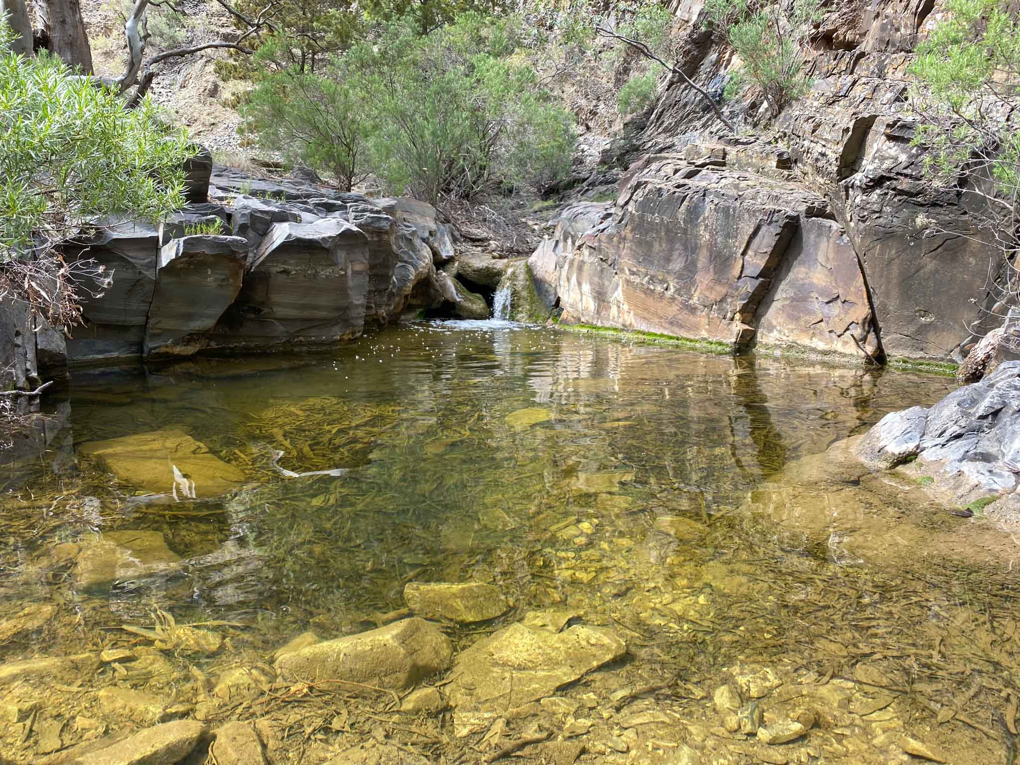 Spear Creek Holiday Park | Station Stays SA